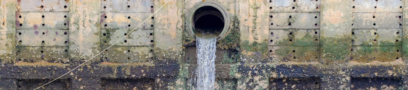 Search | Calgon Carbon Corporation